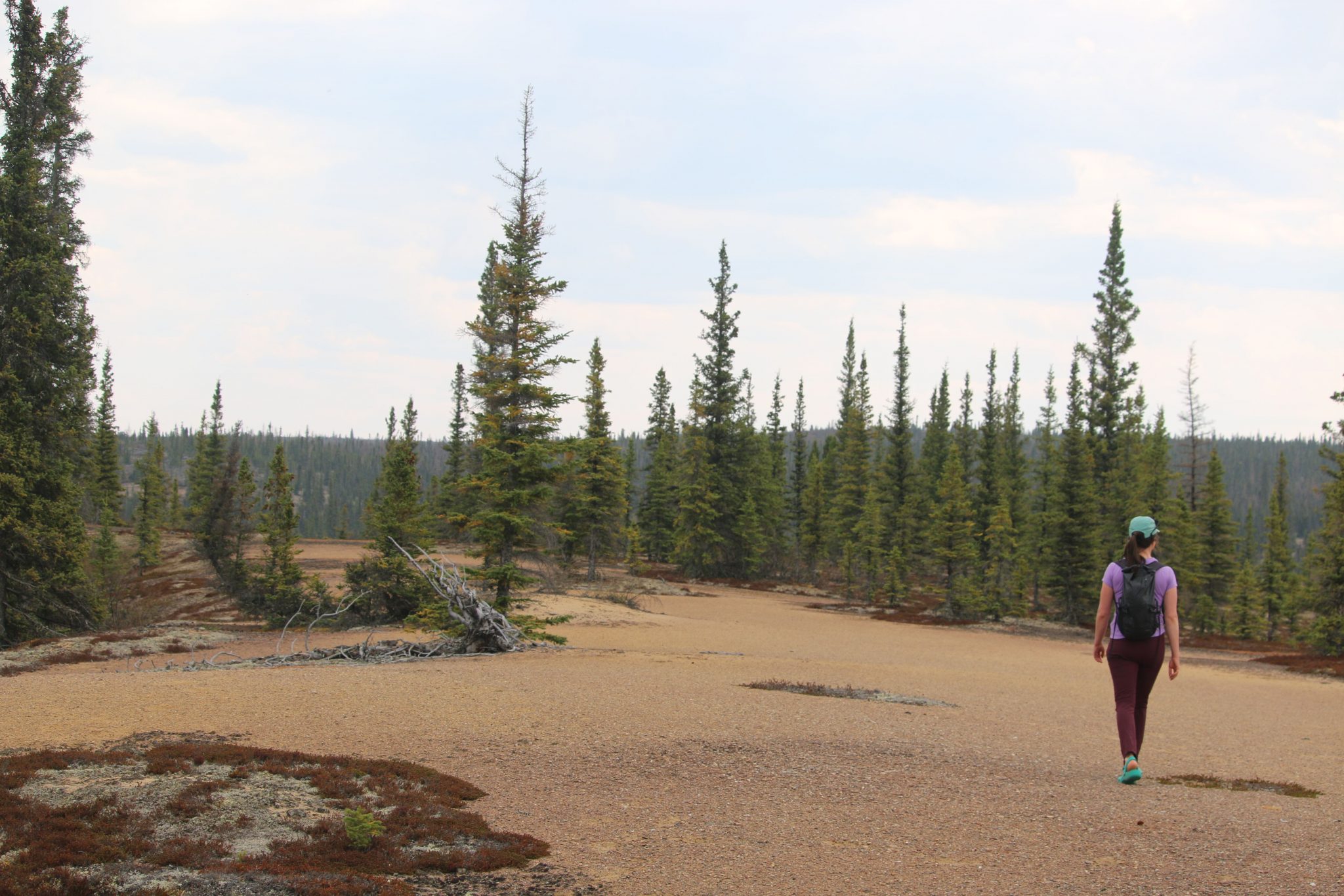 Taltson River Canoe Adventures | Northwest Territories Canoe Trips